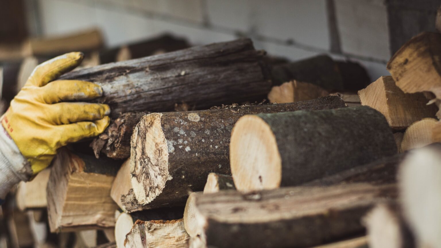 How to Cut Firewood in 6 Easy Steps