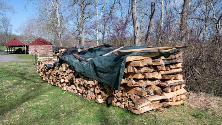 How to Cut Firewood in 6 Easy Steps