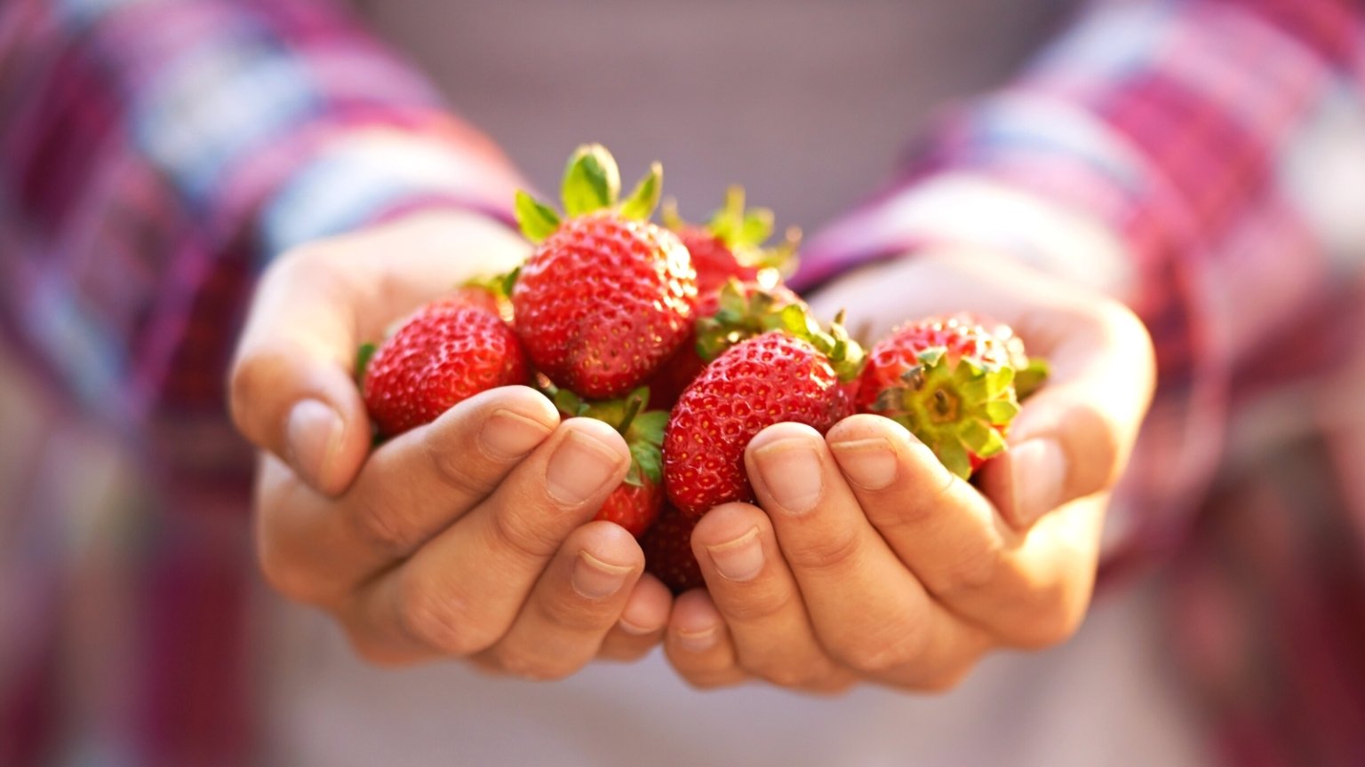 How to Grow Strawberries from Seed