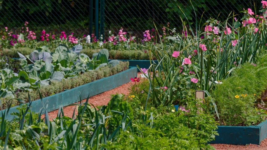 13 Raised Bed Garden Design Ideas
