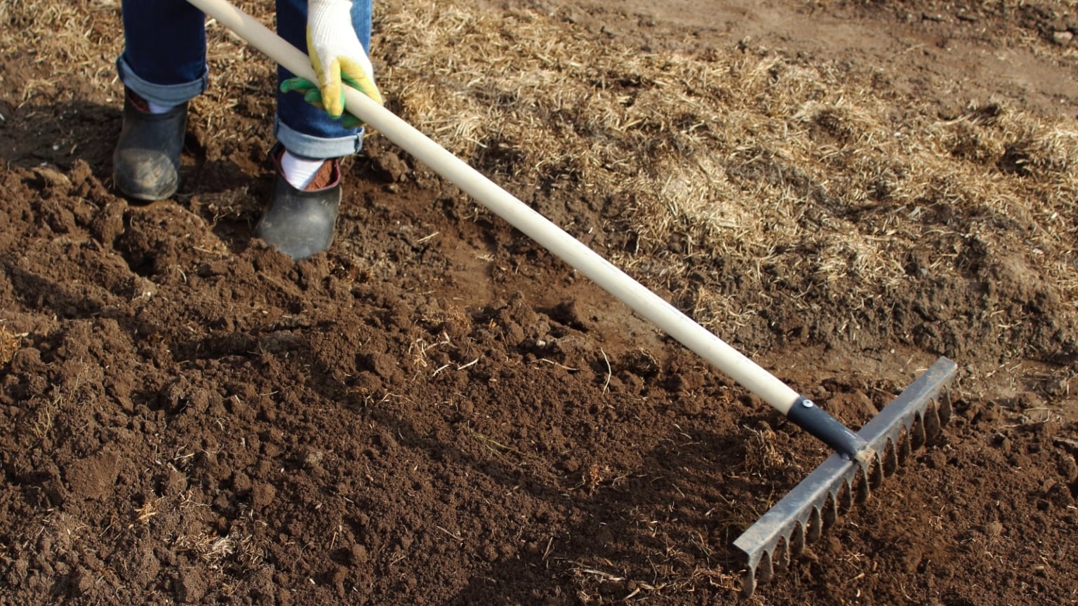 How to Grow a Kitchen Garden in Raised Beds