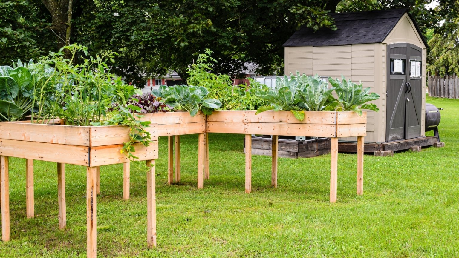 13 Raised Bed Garden Design Ideas