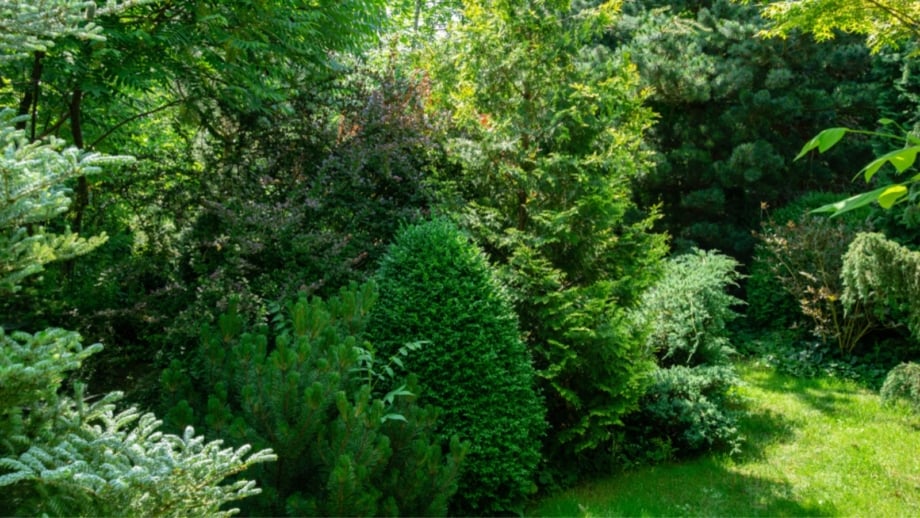 25 Elegant Garden Design Ideas For Formal Gardens