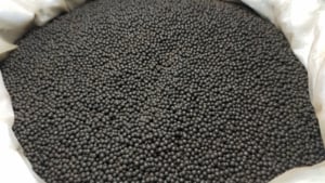 How to Plant, Grow, and Care for Sesame