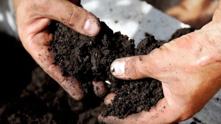 How To Lower Soil pH Or Raise Soil pH