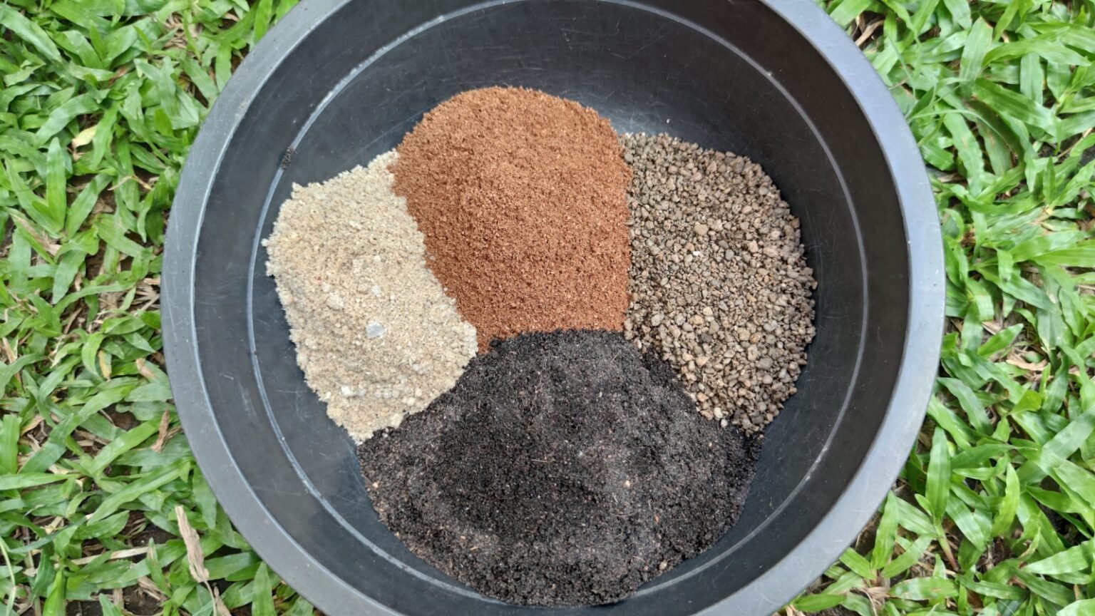 Cactus Soil: How to Make Your Own Cactus Mix