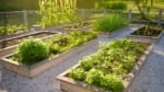 25 Elegant Garden Design Ideas For Formal Gardens