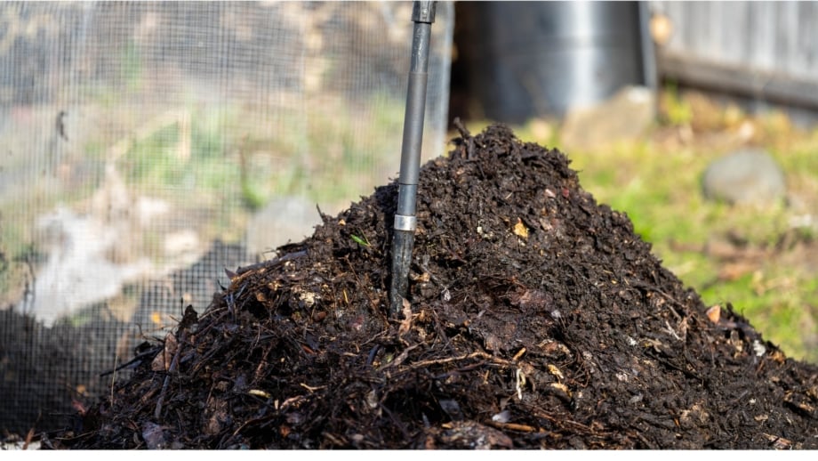 How to Speed up Your Compost: 17 Strategies to Try
