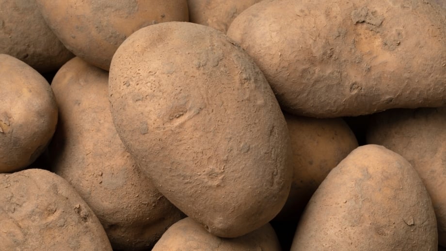 31 Potato Varieties To Plant This Year