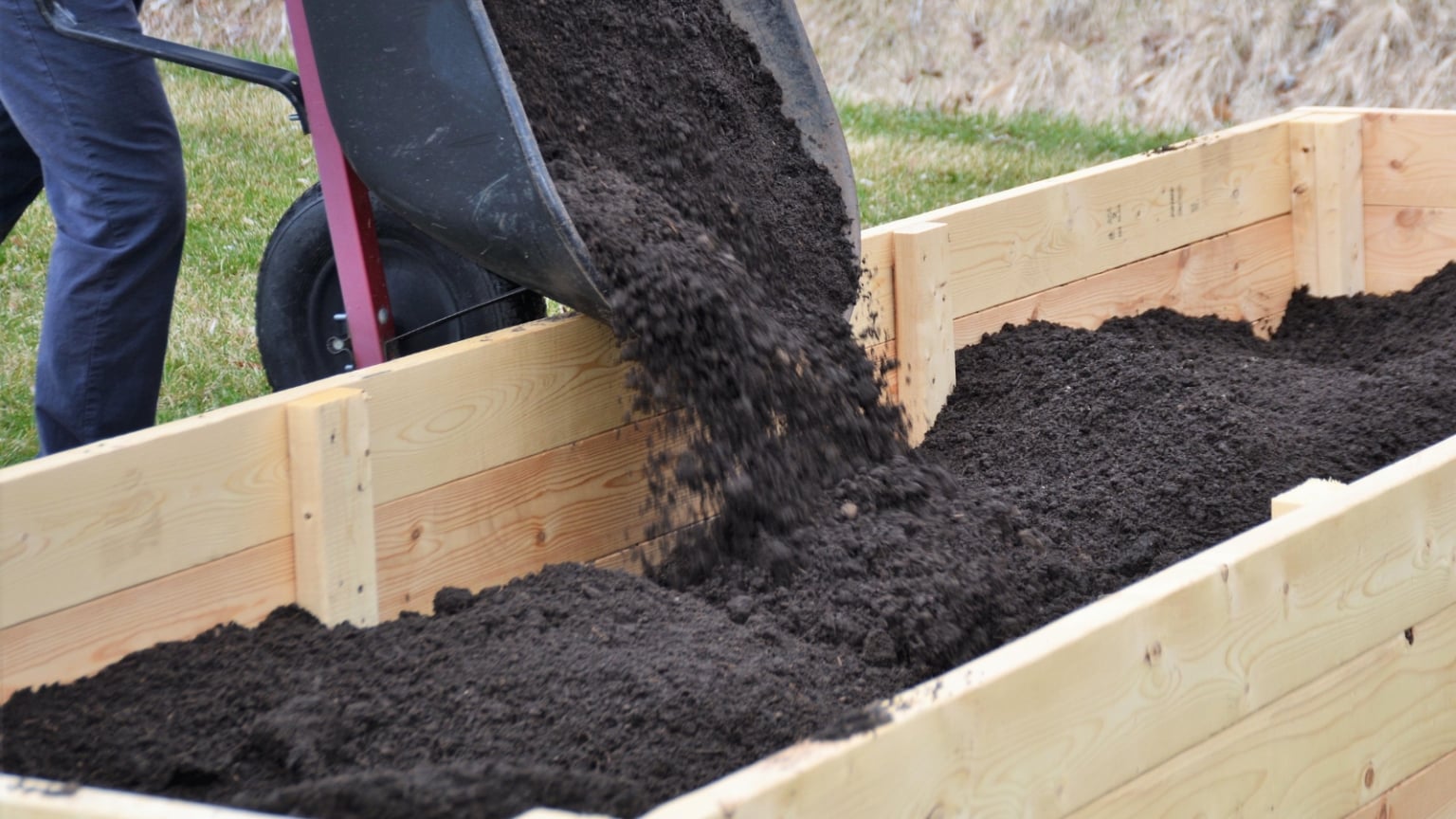 Raised Bed Gardening: 7 Beginner Tips
