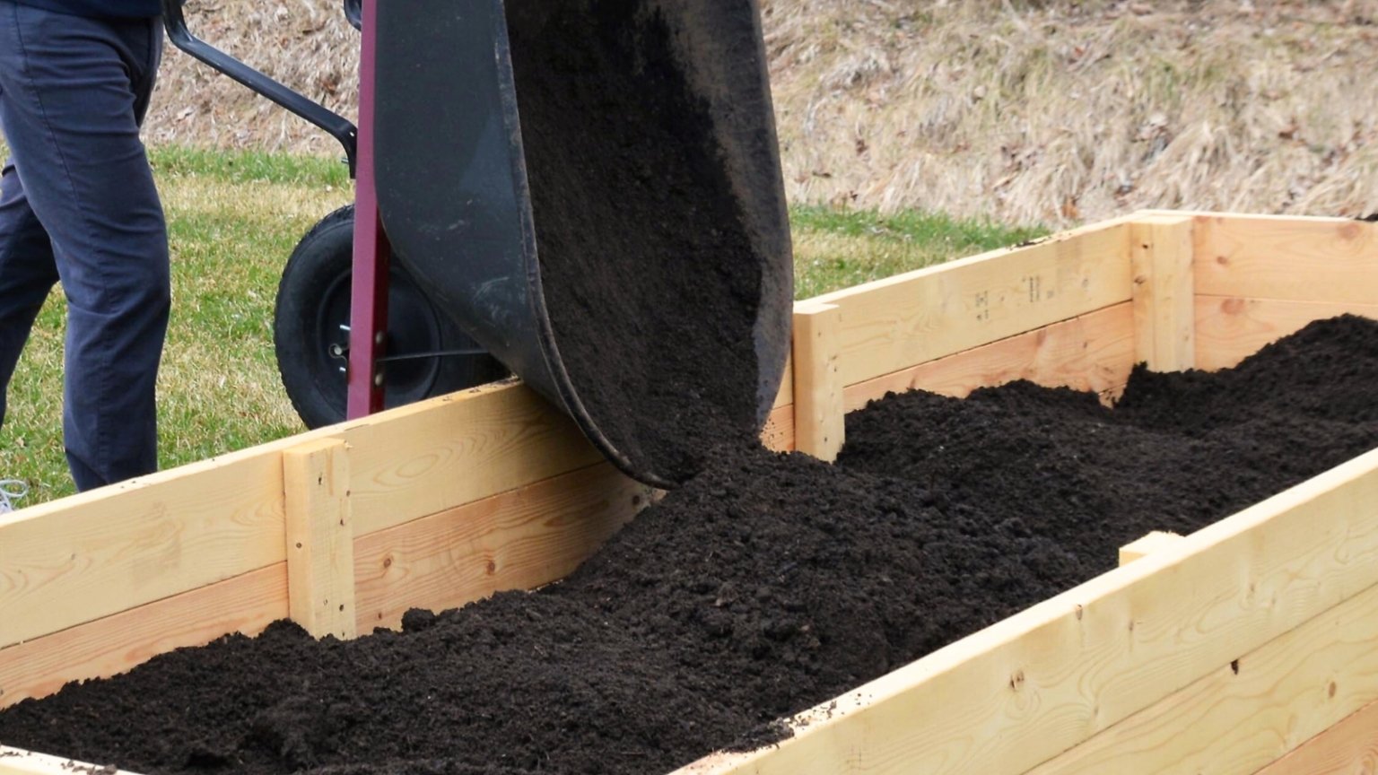 How to Grow a Pollinator Garden in Raised Beds