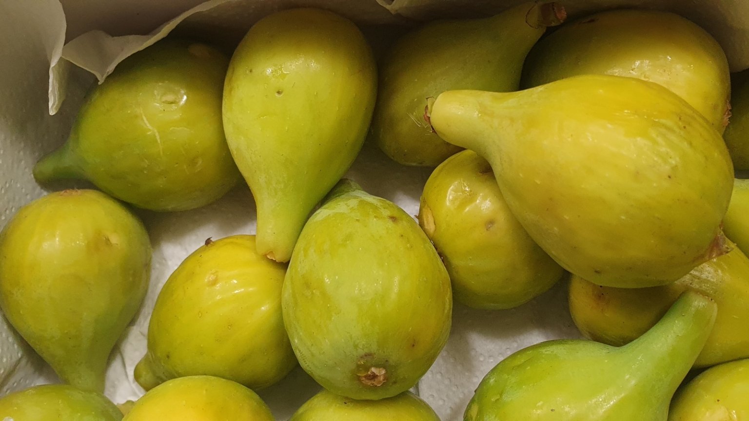 How to Plant, Grow, and Care For Yellow Long Neck Figs