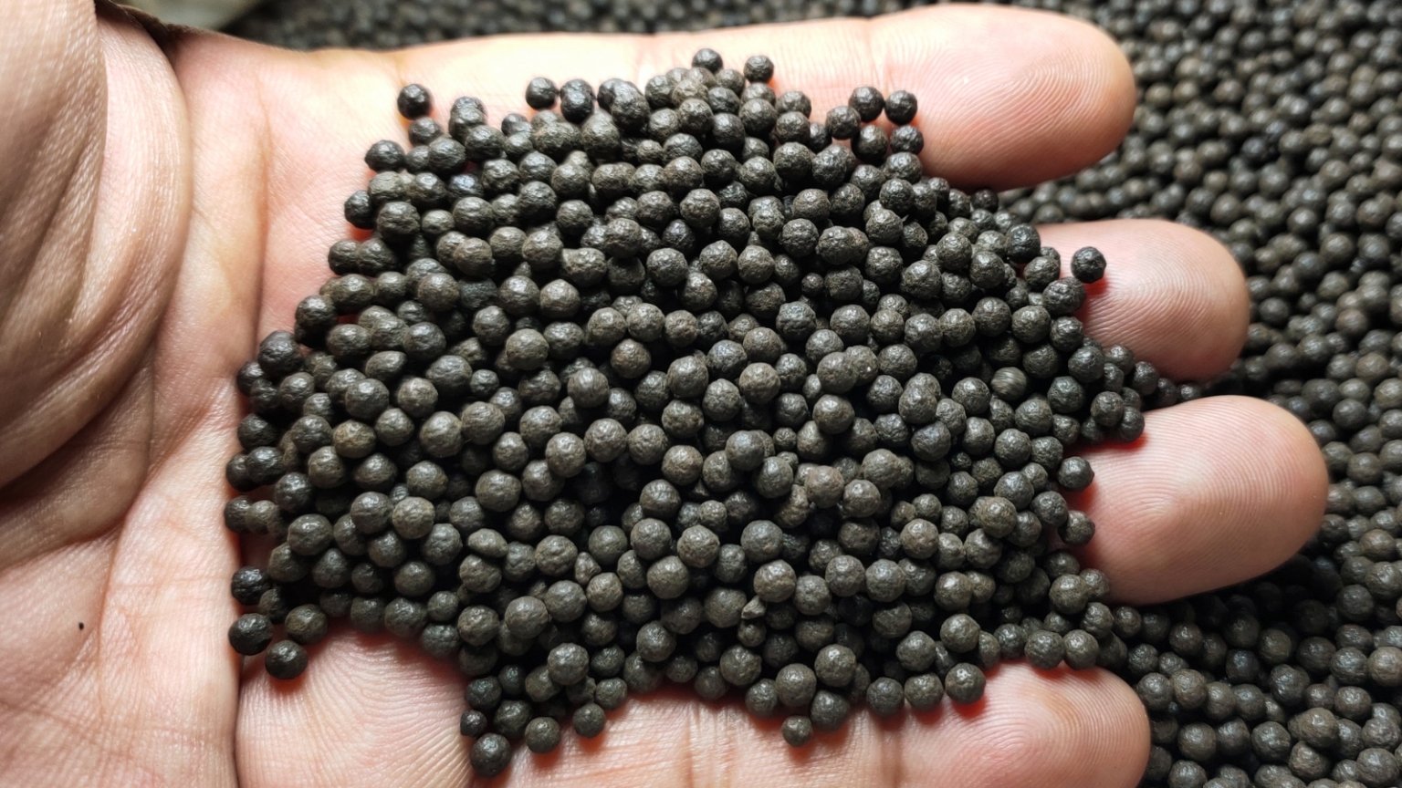 How to Grow Raspberries In Containers