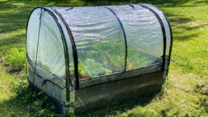 Raised Bed Gardening: 7 Beginner Tips