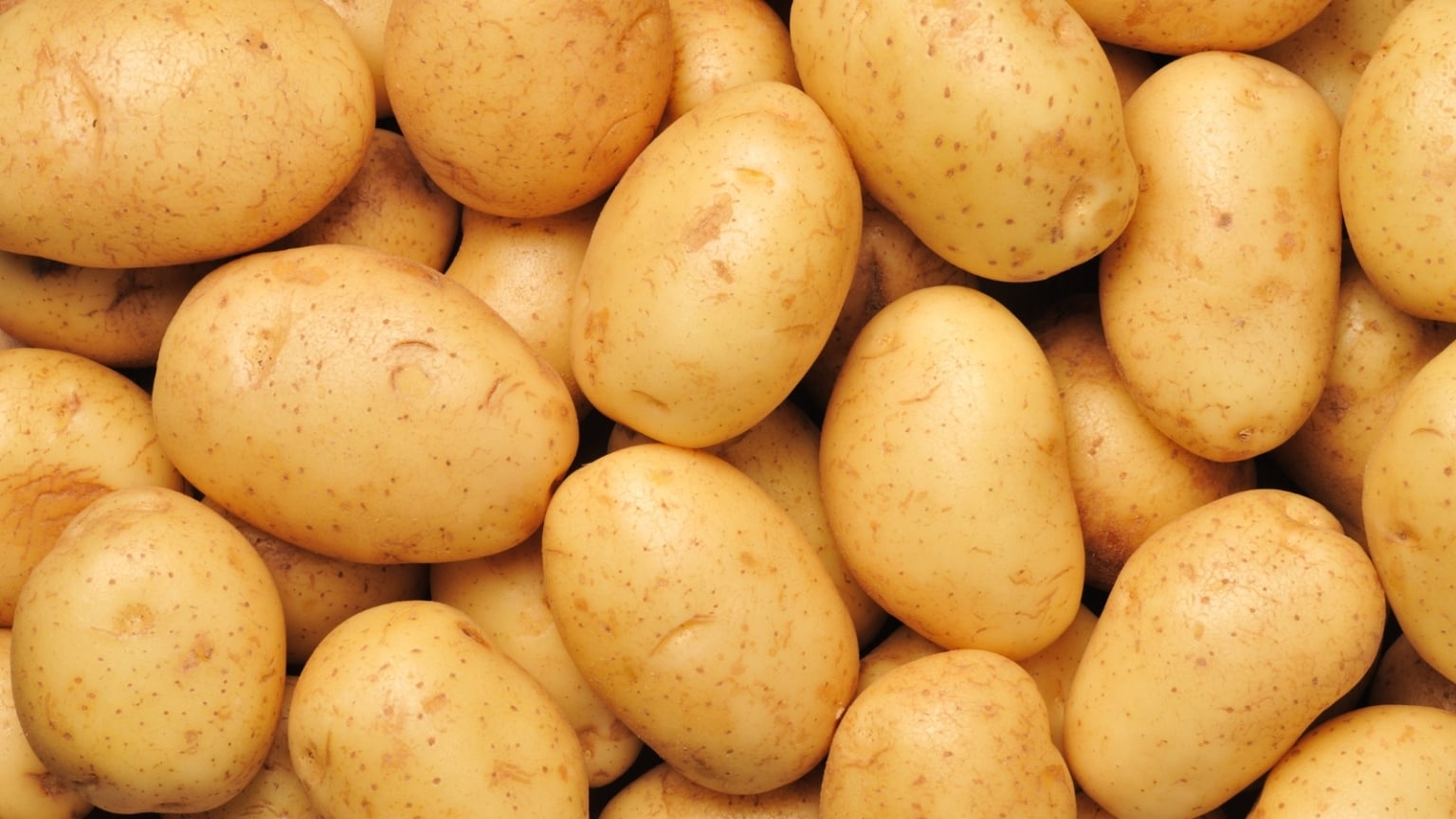 31 Potato Varieties To Plant This Year