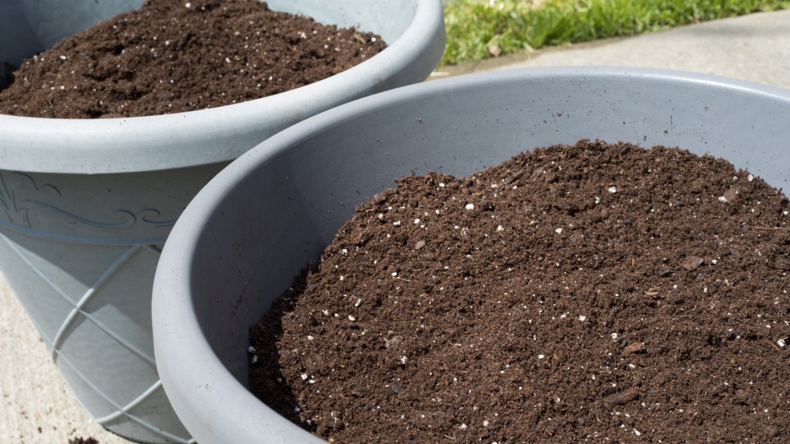Seed Starting Mix Vs Potting Soil: What's the Difference?