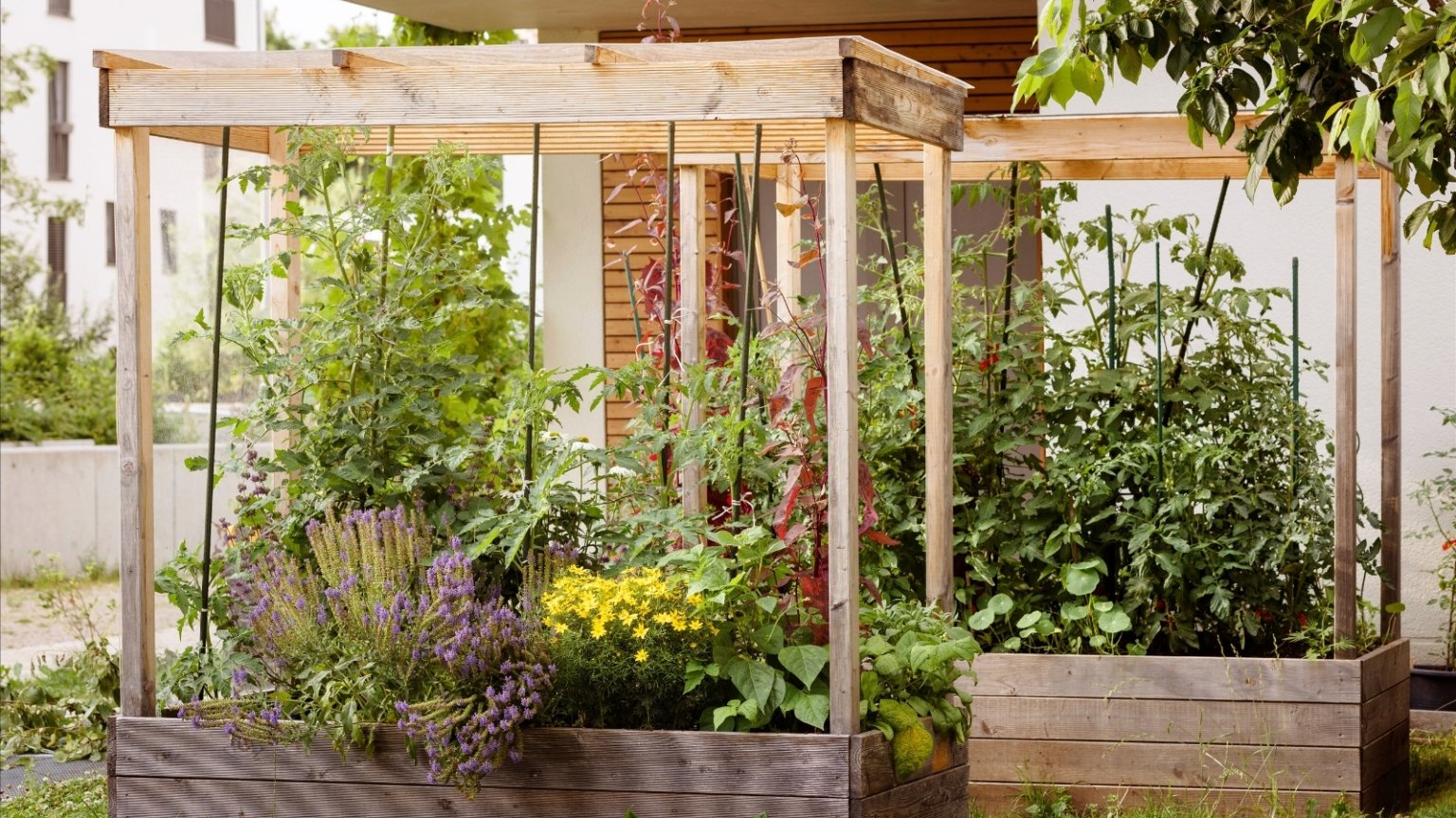 How to Grow a Kitchen Garden in Raised Beds
