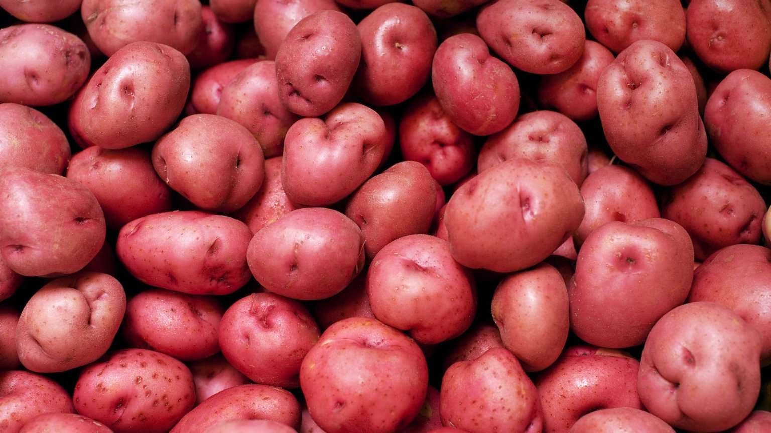 31 Potato Varieties To Plant This Year