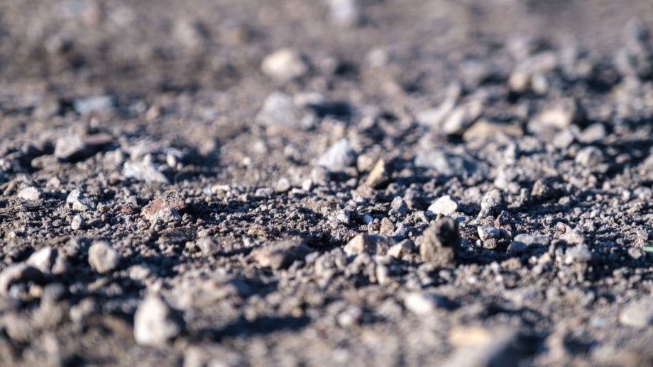 Understanding Your Soil Test Results: What to Do Next