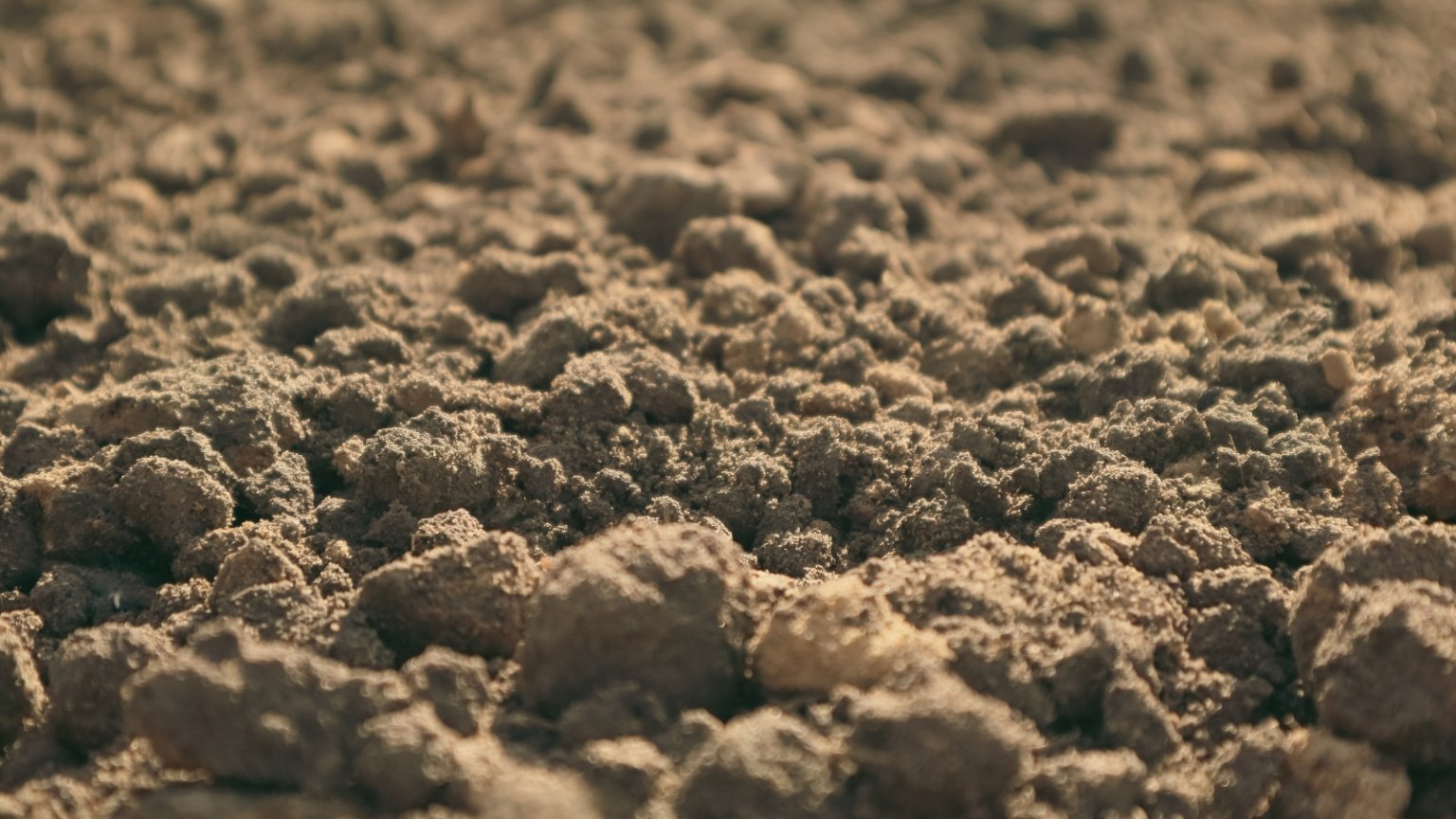 Soil 101: How to Create a Healthy Soil Microbiome