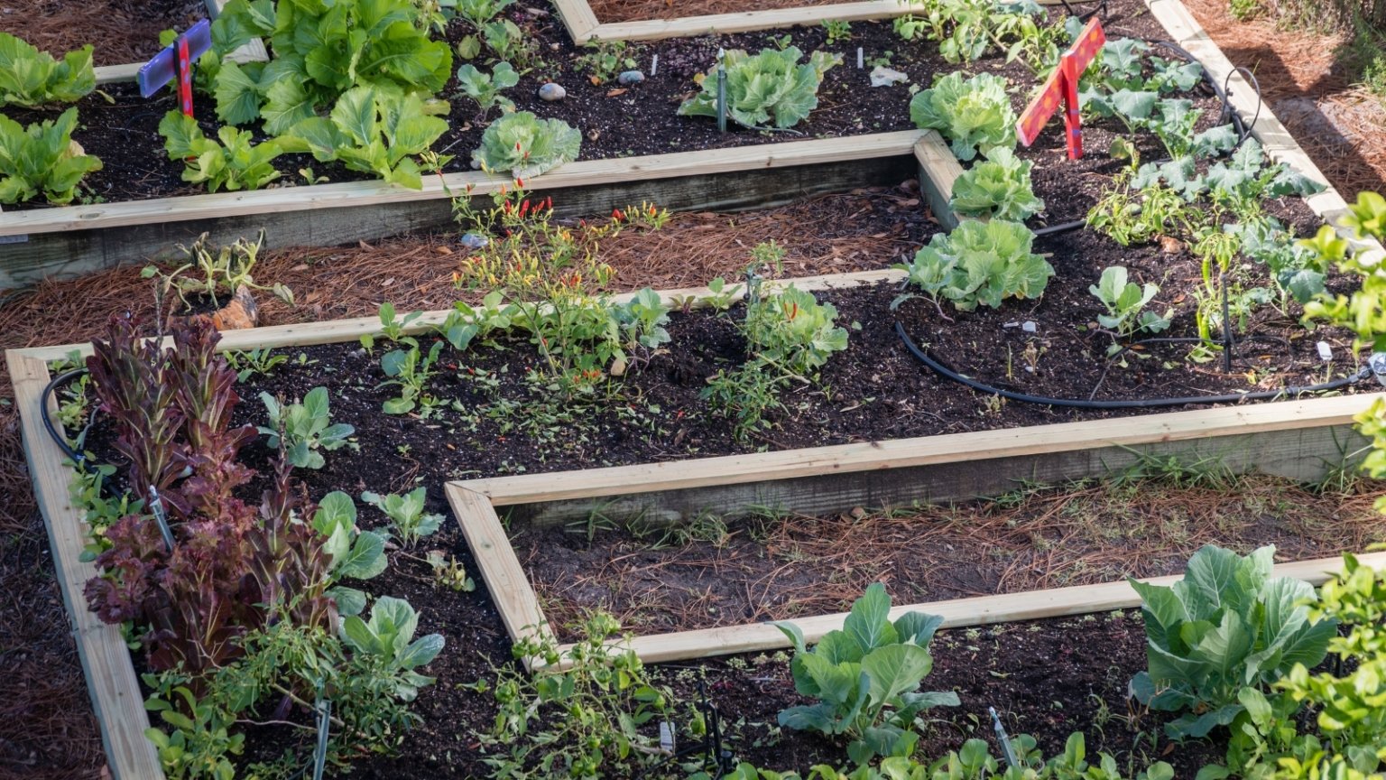 13 Raised Bed Garden Design Ideas