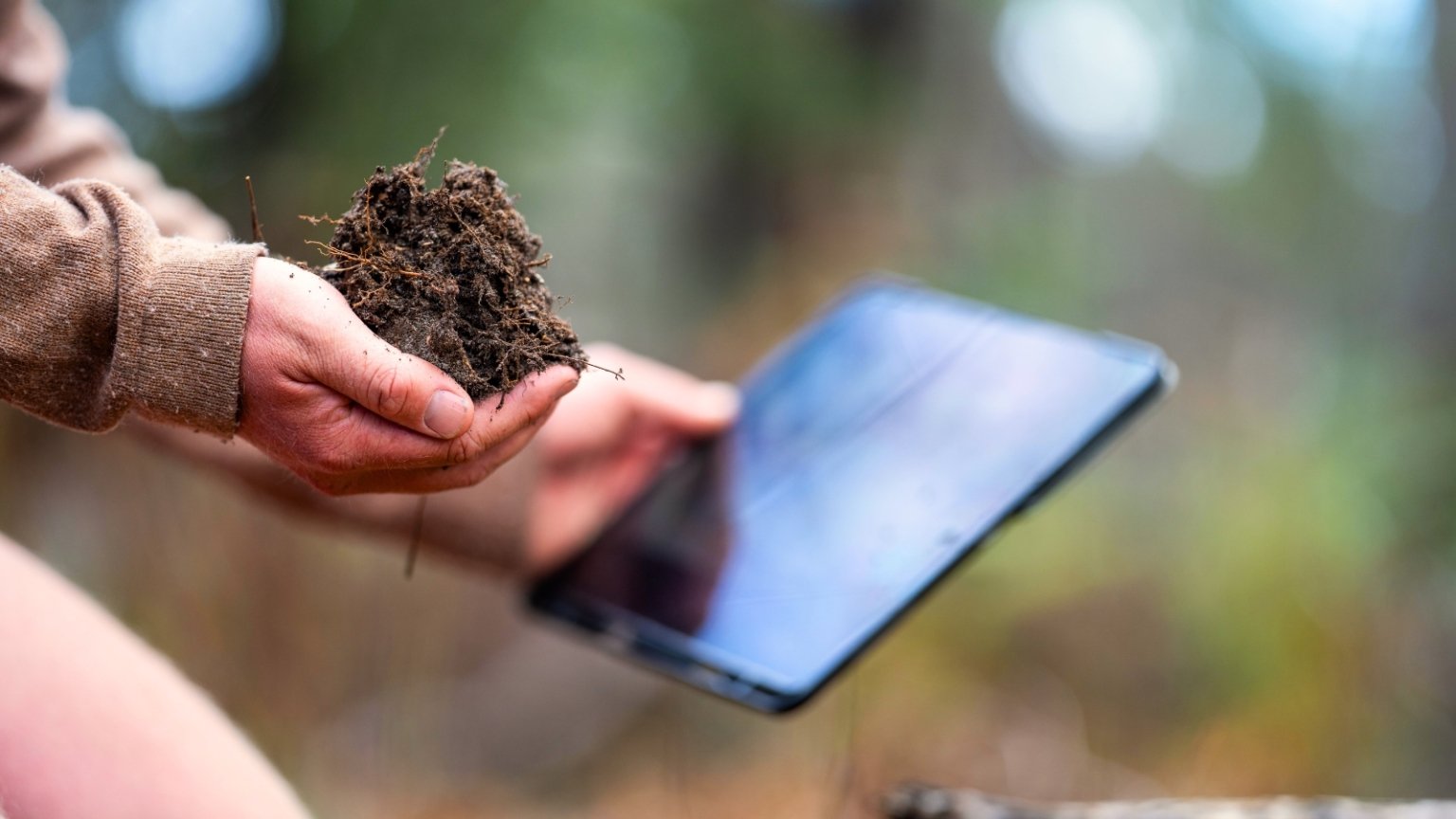 Understanding Your Soil Test Results: What to Do Next