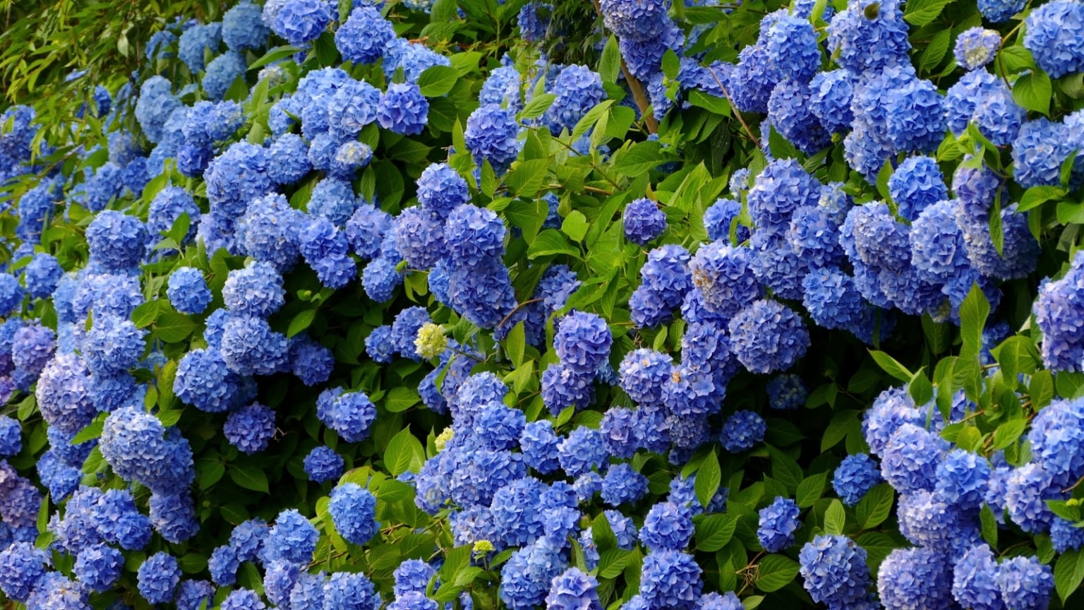 Which Growing Zones are in Oregon?