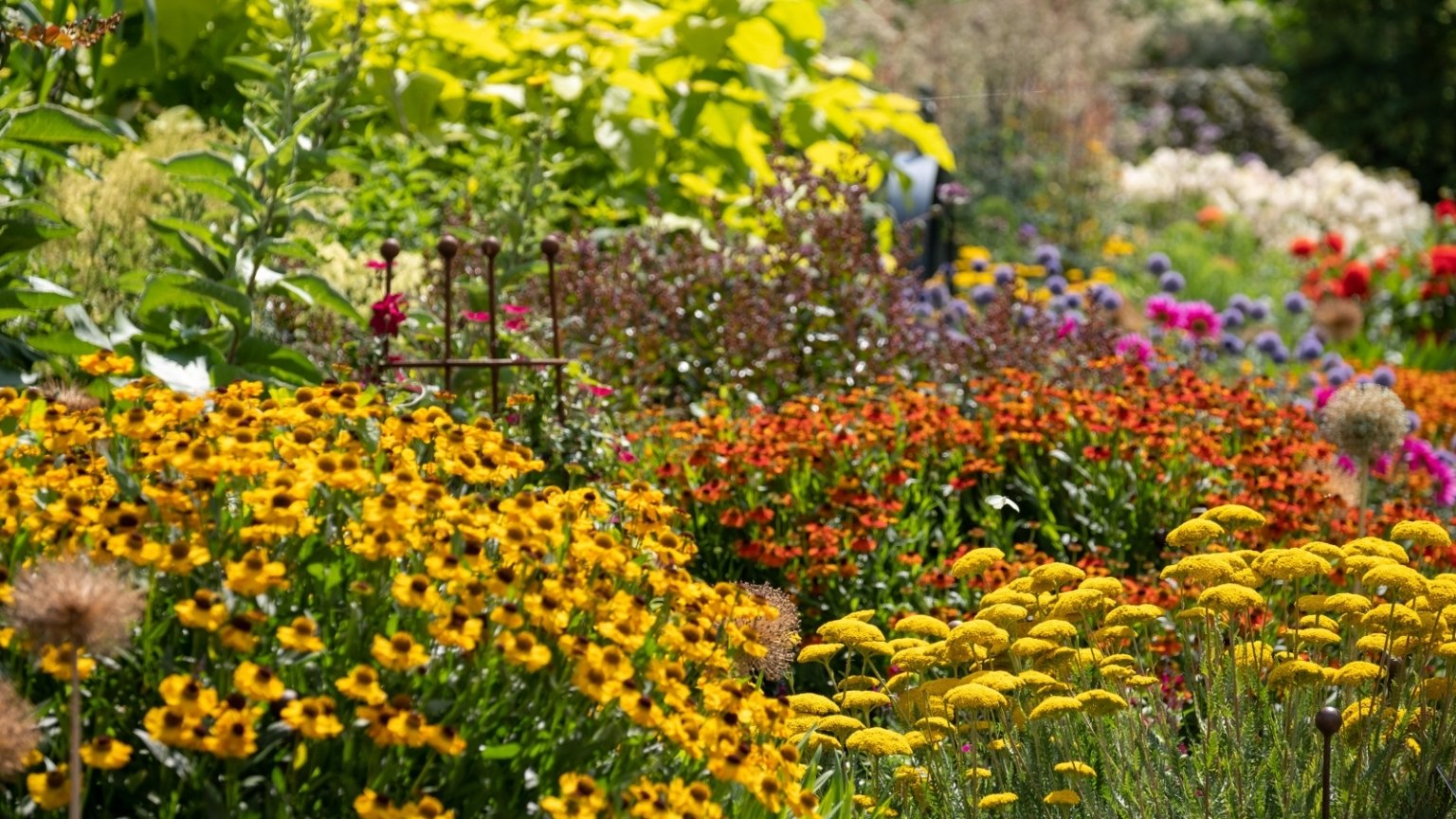 9 Tips for Landscaping With Native Plants
