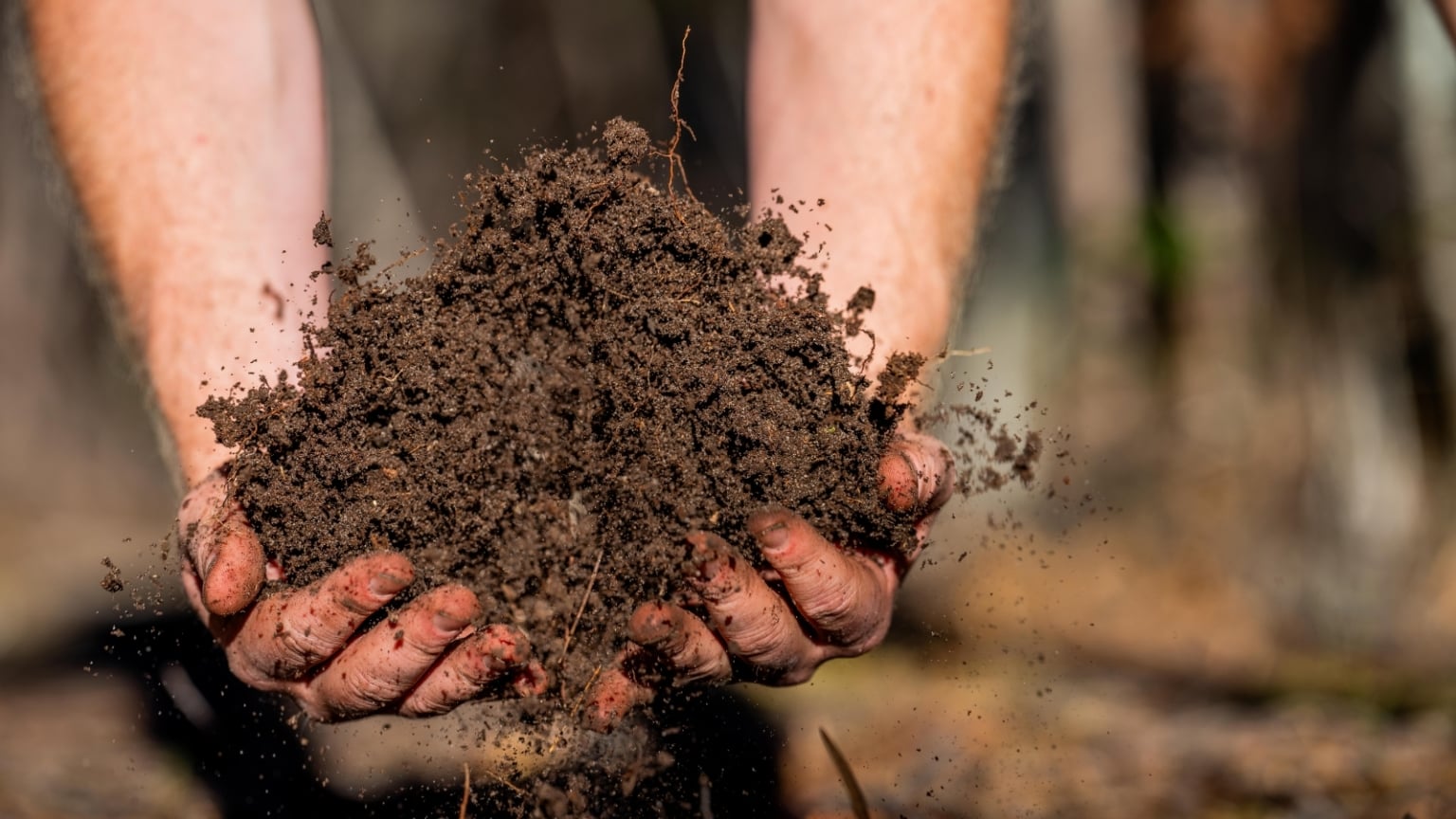 Soil 101: How to Create a Healthy Soil Microbiome