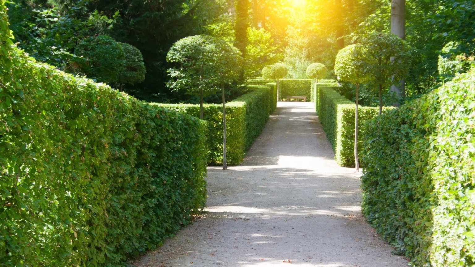 25 Elegant Garden Design Ideas For Formal Gardens