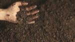 Soil 101: How to Create a Healthy Soil Microbiome