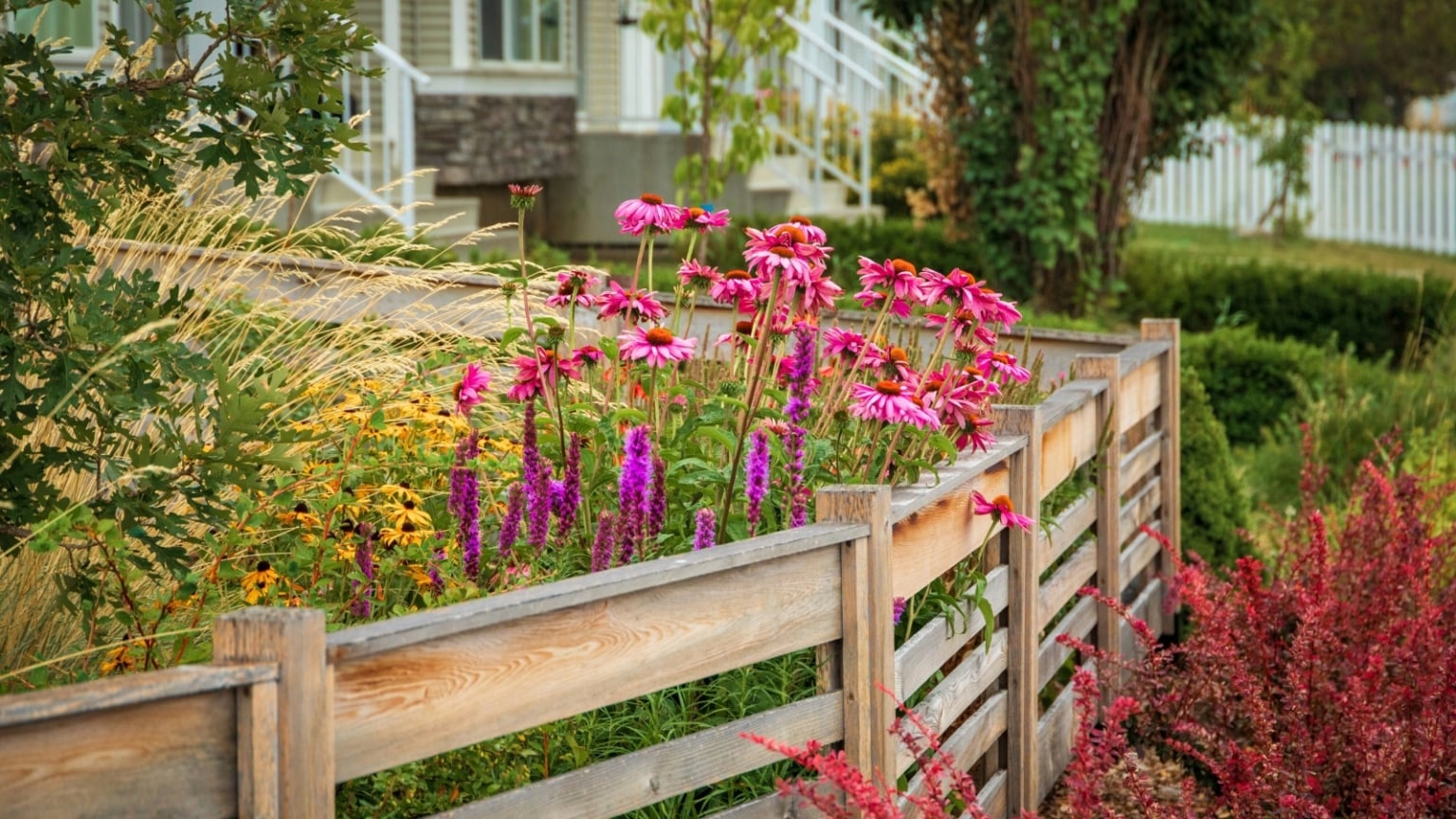 9 Tips for Landscaping With Native Plants