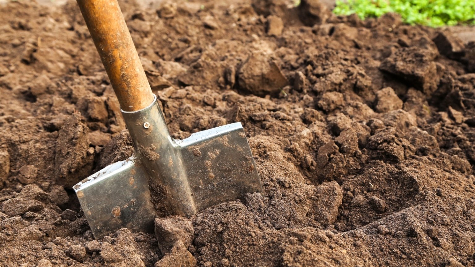 Soil 101: How to Create a Healthy Soil Microbiome