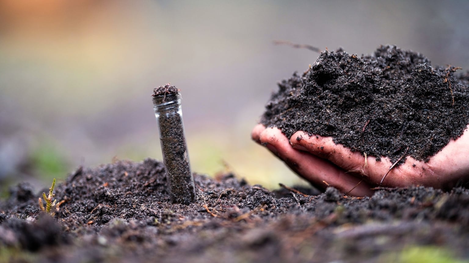 Understanding Your Soil Test Results: What to Do Next