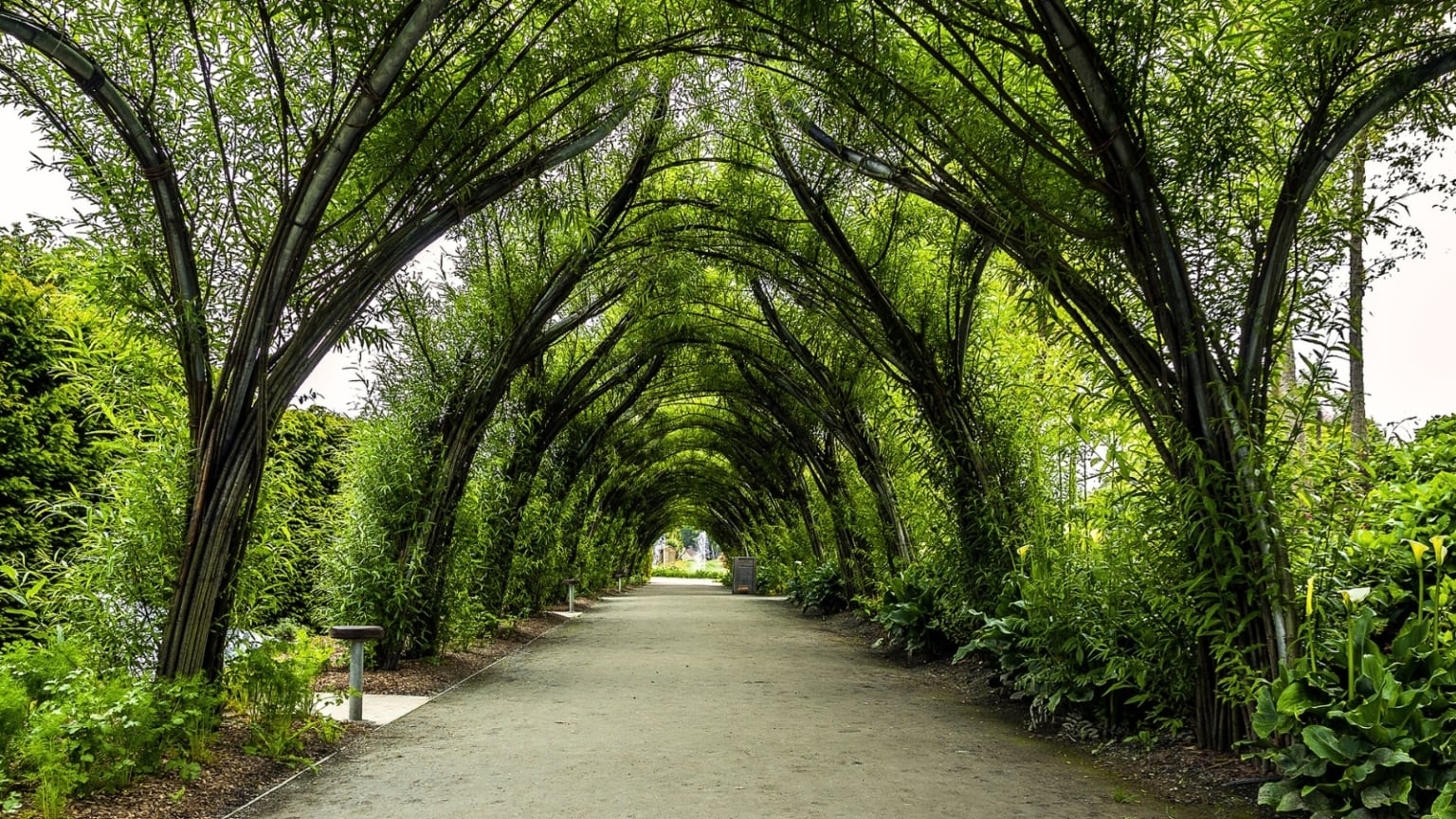 25 Elegant Garden Design Ideas For Formal Gardens