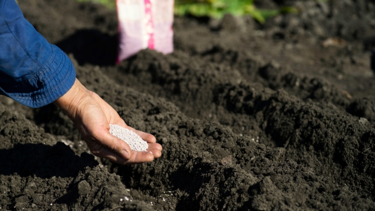 Understanding Your Soil Test Results: What to Do Next