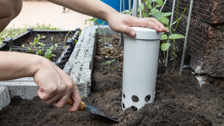 How to Make a DIY Worm Tower - Epic Gardening