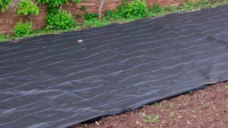 How to Prepare the Ground for Raised Beds in 7 Steps