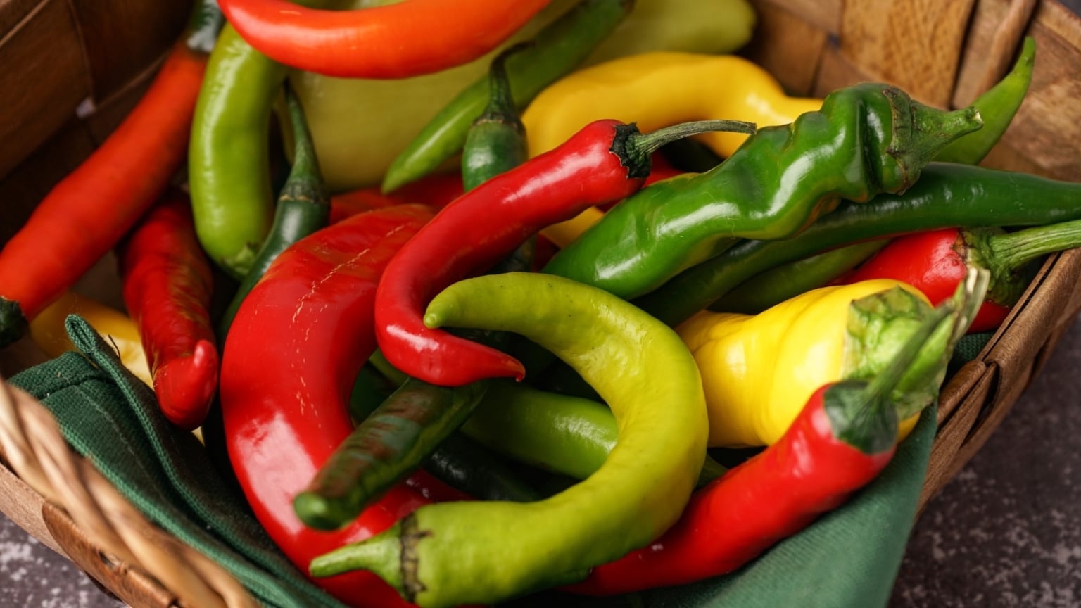 How and When to Harvest Peppers