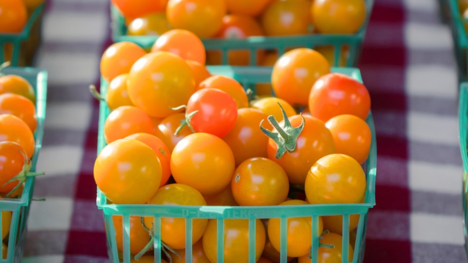 How to Plant, Grow, and Care for 'Sun Gold' Tomatoes