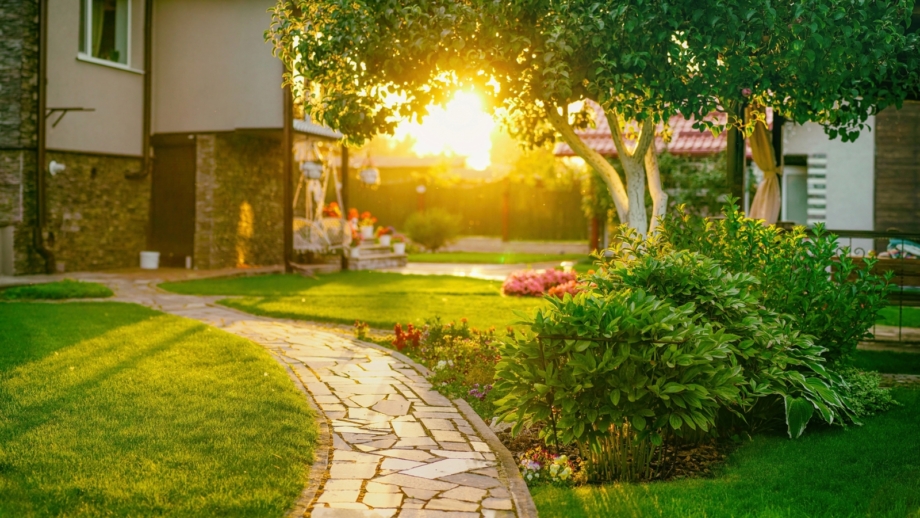 31 Flowering Foundation Plants That Boost Your Home’s Value