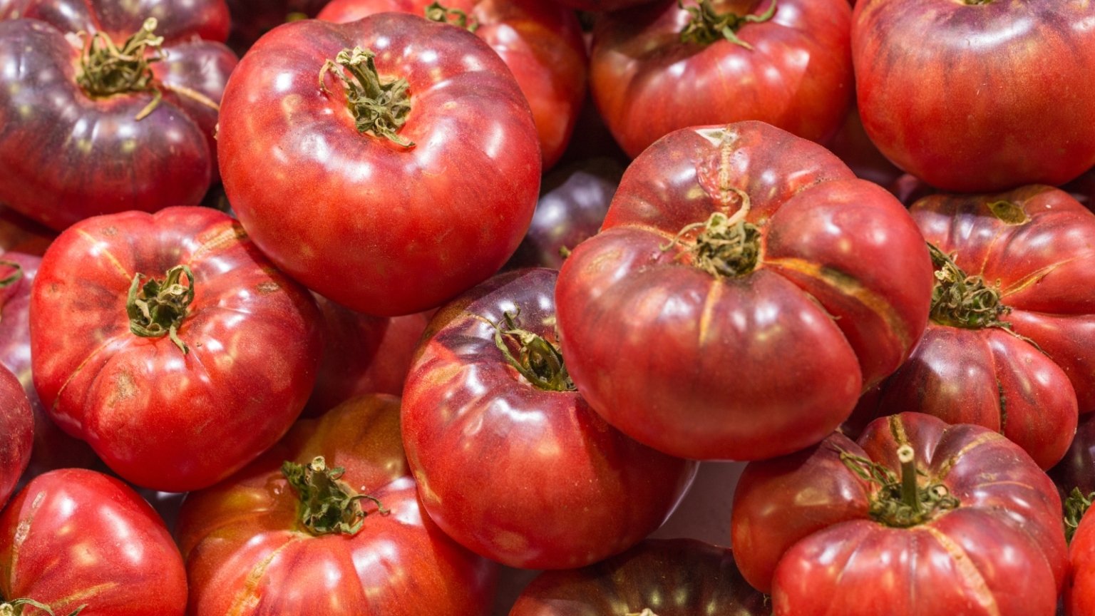 7 Unique and Unusual Tomatoes That Wow in the Garden