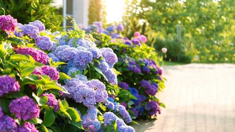 31 Flowering Foundation Plants That Boost Your Home’s Value