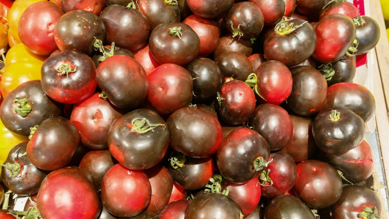 How to Plant, Grow, and Care for Heirloom Tomatoes