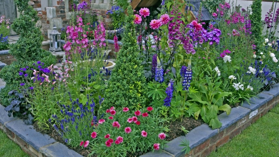 21 Best Flowers for Growing in Raised Beds