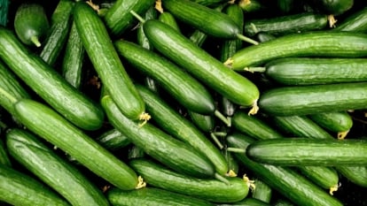 7 Reasons You Have Misshapen Cucumbers