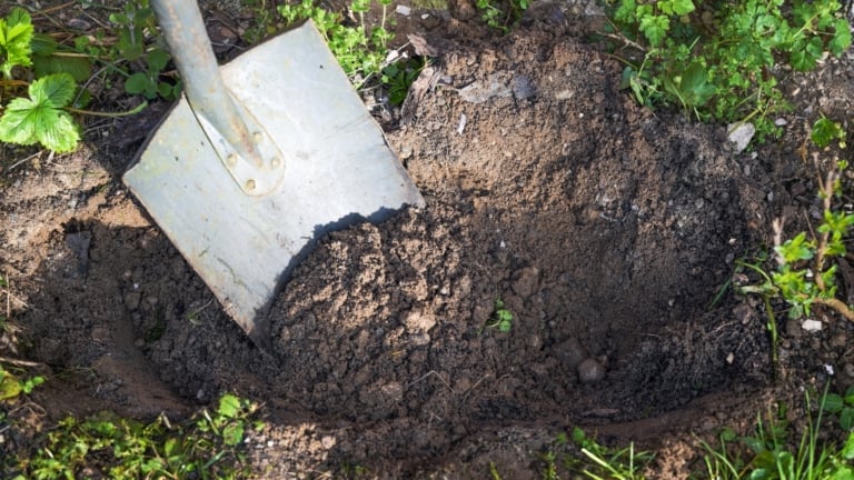 How to Use Azomite in the Garden
