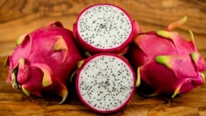 Complete Beginner's Guide to Growing Dragon Fruit