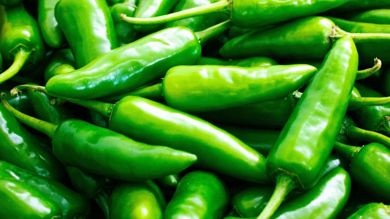 How to Plant, Grow, and Care for Anaheim Peppers
