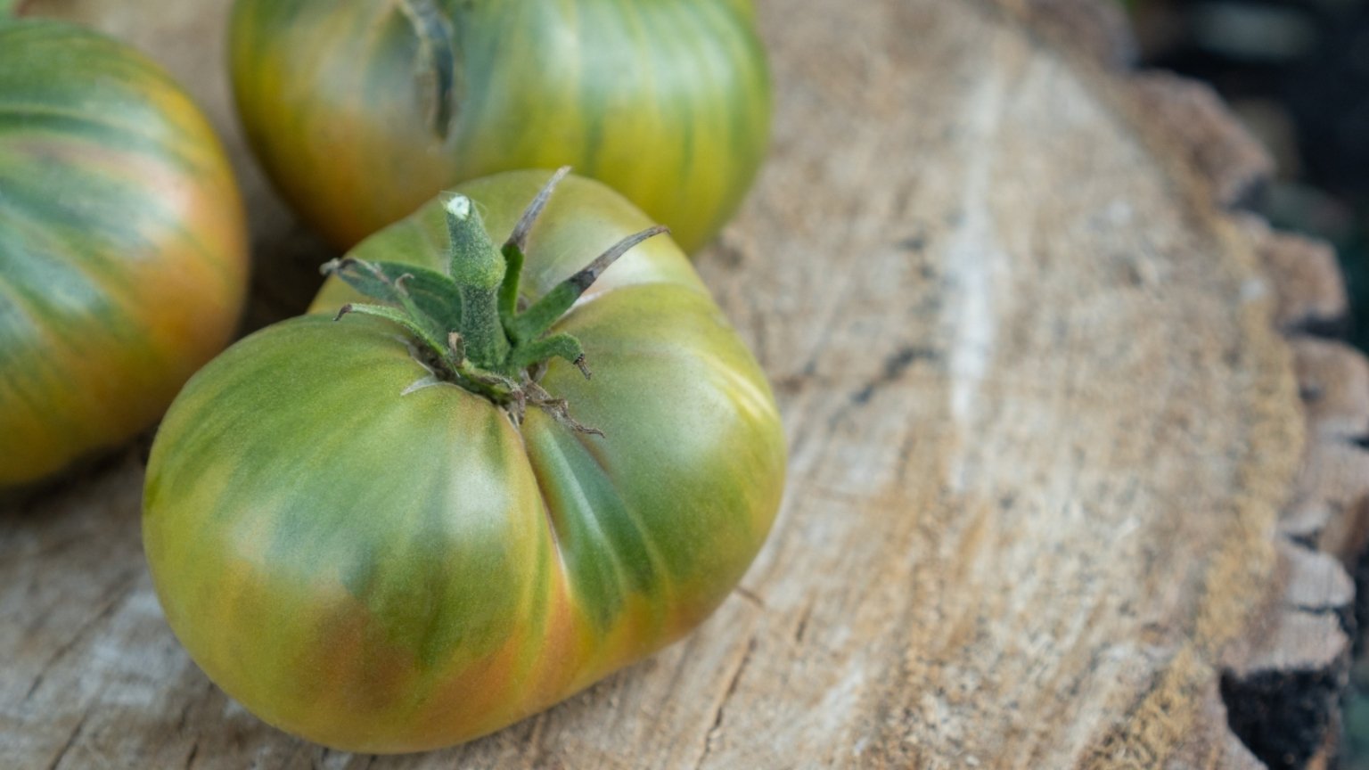 7 Unique and Unusual Tomatoes That Wow in the Garden